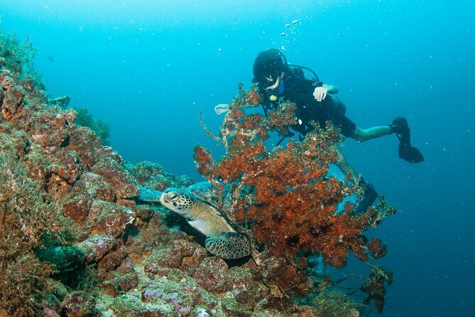 Scuba Diving Puerto Vallarta Undersea Arcos or Marietas - An Overview of the Tour Experience