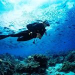 Scuba Referral Dives & Beach Club with Transportation In Riviera Maya - Authentic Insights from Travelers