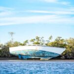 Sea Kayak Tour - Mangrove Safari - Who Will Love This Tour?