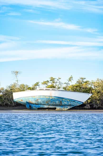 Sea Kayak Tour - Mangrove Safari - Who Will Love This Tour?
