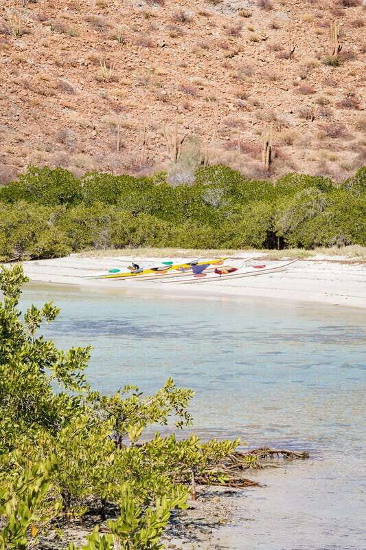 Sea Kayak Tour - Marine Safari - What’s Included and What to Expect
