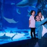 SEA LIFE Arizona Aquarium General Admission - The Touch Pool Experience