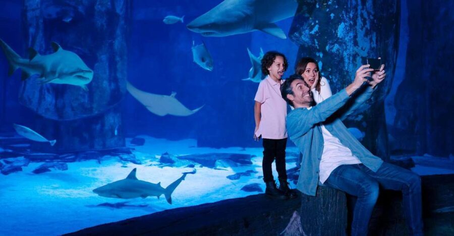 SEA LIFE Arizona Aquarium General Admission - The Touch Pool Experience