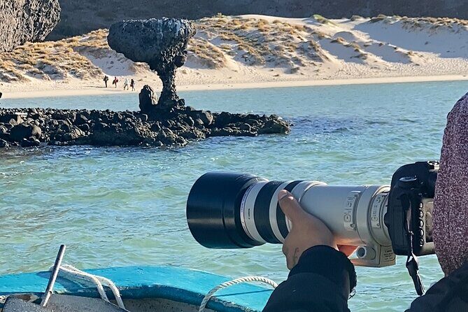 Sea Lions & Mega-Paddleboard Tour in Balandra - Who Will Love This Experience?