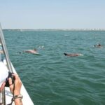 Sea Rocket Sunset & OC Harbor Cruise in Ocean City, MD - Why this tour suits certain travelers