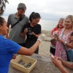Sea Turtle Release  A Puerto Vallarta Conservation Adventure - An In-Depth Look at the Tour Experience