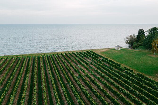 Seated Tasting Experience at Konzelmann Winery - The Review from Travelers