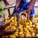 Seattle: Chocolate Tour with Tastings - The Value of the Experience