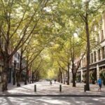 Seattle : Must-See Attractions Walking Tour With A Guide - Why This Tour Works Well