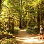 Seattle: Olympic National Park Small-Group Tour - Final Thoughts: Is It Worth the Price?