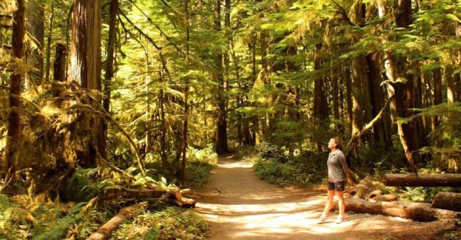 Seattle: Olympic National Park Small-Group Tour - Final Thoughts: Is It Worth the Price?