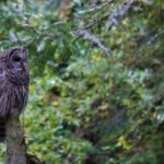 Seattle: Private Whidbey Island & Deception Pass Tour - The Value and Experience for Travelers