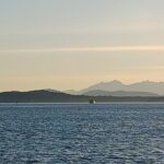 Seattle Sightseeing ScooTour - What Travelers Say