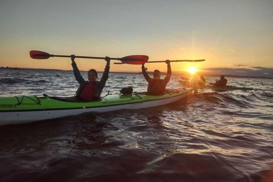 Seattle: West Seattle Sunset Sea Kayak Tour - What Makes This Tour Stand Out?