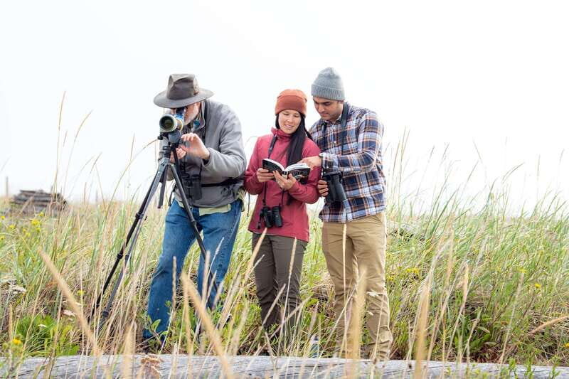 Seattle: Whidbey Island Deception Pass + Winter Birding Trip - The Value & Practical Considerations