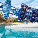 SeaWorld Orlando: Park Admission Ticket - The Value of Your Ticket: Is It Worth It?