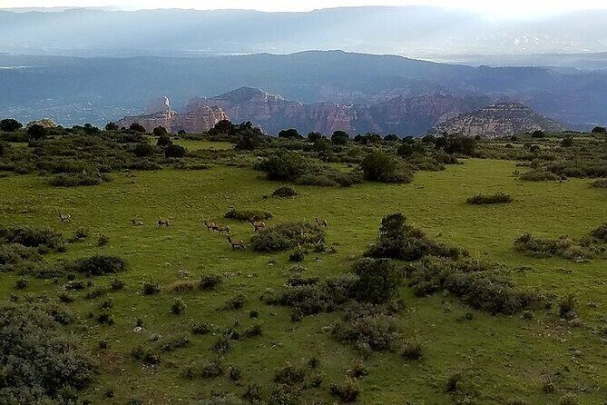 Secret Wilderness Sedona Helicopter Sunset Tour - A Closer Look at the Flight Experience