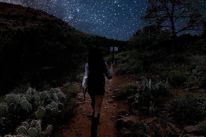 Sedona Live Virtual Hike - Experience Sedona from Home - Who Should Consider This Tour?