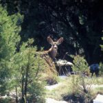 Sedona: PRIVATE Extreme Diamondback Gulch 4x4 Jeep Tour - Transportation, Timing, and Group Size