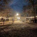 Seguin: Alpaca Experience and Adventure Tour - What’s Not Included