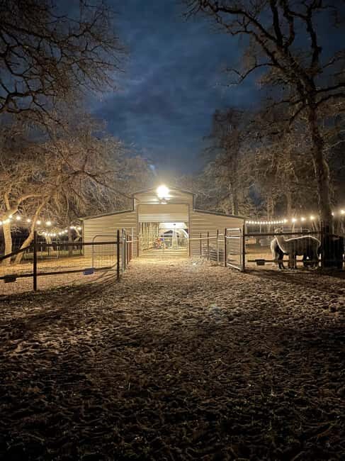 Seguin: Alpaca Experience and Adventure Tour - What’s Not Included