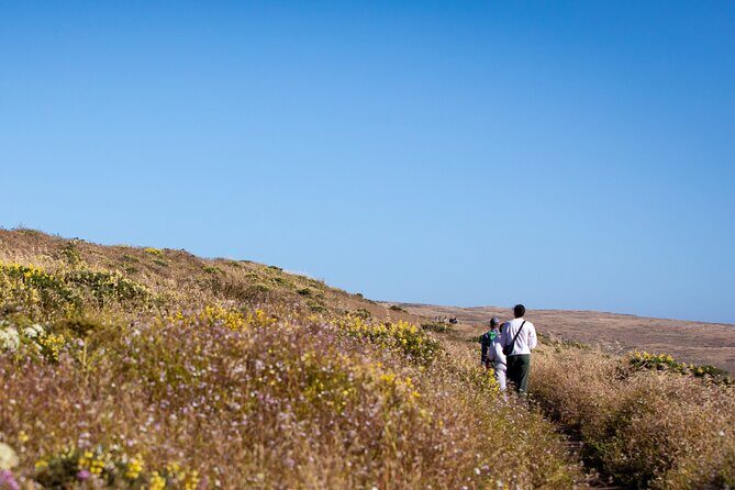 Self-Guided Audio Driving Tour of Point Reyes National Seashore - The Itinerary Breakdown