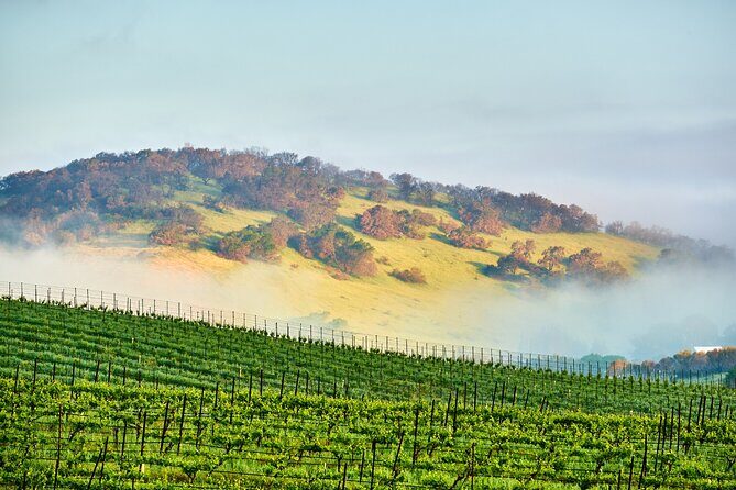 Self-Guided Audio Driving Tour of Sonoma and Napa Valley - A Detailed Breakdown of the Itinerary