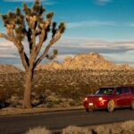 Self Guided Audio Tour of Joshua Trees Hidden Valley Trail - The Value of Self-Guided Tours in Joshua Tree