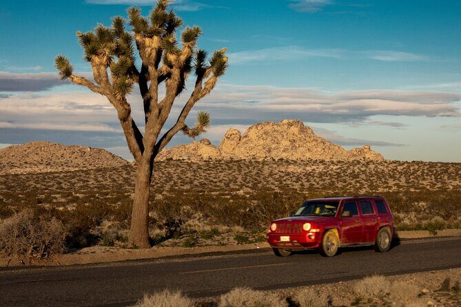 Self Guided Audio Tour of Joshua Trees Hidden Valley Trail - The Value of Self-Guided Tours in Joshua Tree