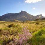 Self Guided Driving Audio Tour of Big Bend National Park - Practical Tips for the Journey