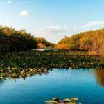 Self Guided Driving Audio Tour of Everglades National Park - A Breakdown of the Itinerary