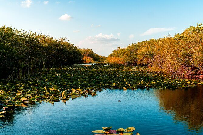 Self Guided Driving Audio Tour of Everglades National Park - A Breakdown of the Itinerary