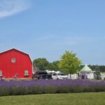 Self-Guided Driving Tour at Door Countys Washington Island - Practical Aspects of the Tour