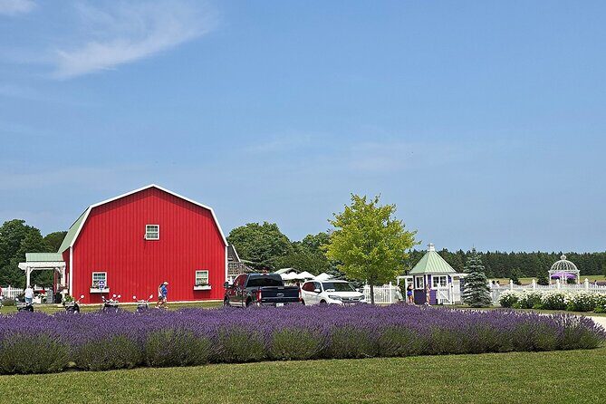 Self-Guided Driving Tour at Door Countys Washington Island - Practical Aspects of the Tour
