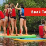 Self-Guided Kayaking Manatee and Dolphin Tour - Final Thoughts