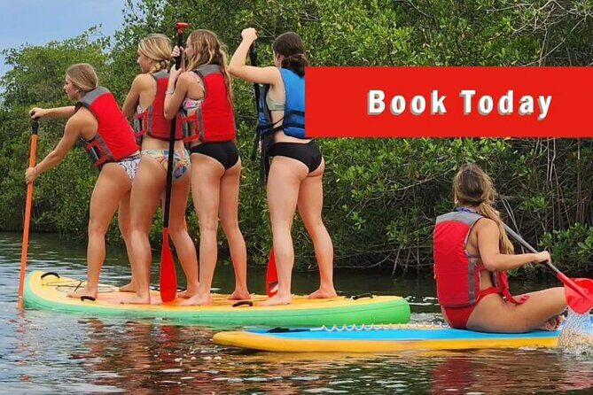 Self-Guided Kayaking Manatee and Dolphin Tour - Final Thoughts