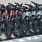 Self Guided Niagara On The Lake E-Bike Wine Tour - Who Will Love This Tour?