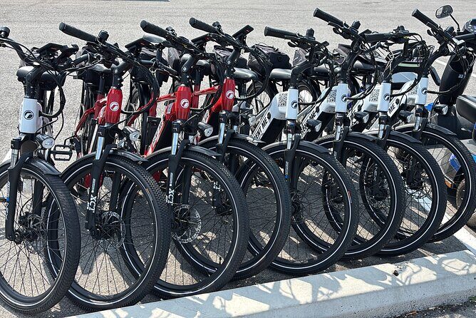 Self Guided Niagara On The Lake E-Bike Wine Tour - Who Will Love This Tour?