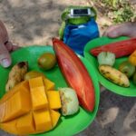 Selva y Playas Exóticas, Senderismo en Puerto Vallarta - Who Will Love This Tour?