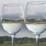 Seneca Lake: Wine Tasting Tour - Who Will Love This Tour?