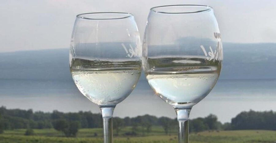 Seneca Lake: Wine Tasting Tour - Who Will Love This Tour?