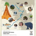 Sequoia and Kings Canyon Audio Tour Self Guide National Park Tour - Detailed Breakdown of the Itinerary