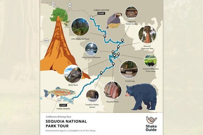 Sequoia and Kings Canyon Audio Tour Self Guide National Park Tour - Detailed Breakdown of the Itinerary