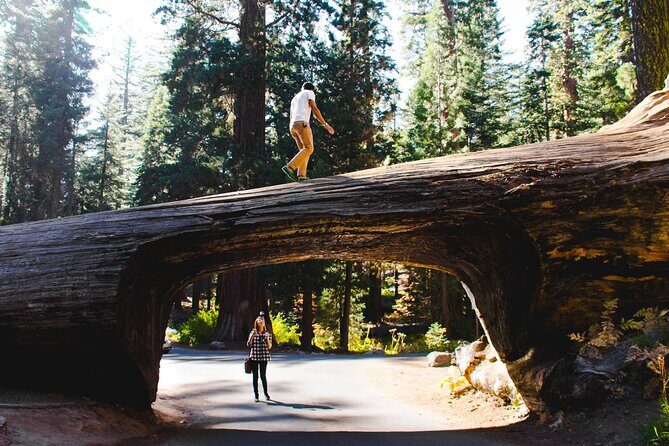 Sequoia & Kings Canyon Two Day Private Tour & Hike - Day 1: Exploring the Giants and the Views