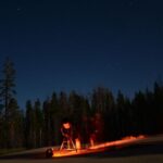 Sequoia National Park: Sherman Tree & Congress Trail Walk - The Sherman Tree: The Crown Jewel