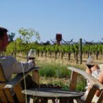 Serene and Romantic Wine Tasting Next to the Vines in Napa Valley - Why This Experience Stands Out