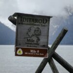 Seward Alaska City Tour and Glacier Viewing - Who Will Love This Tour?