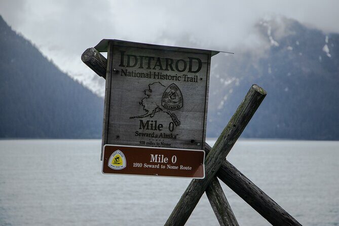 Seward Alaska City Tour and Glacier Viewing - Who Will Love This Tour?