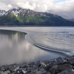 Seward to Anchorage Direct Transfer Tour - Who Should Consider This Transfer?