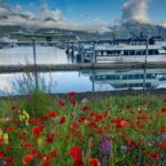 Seward to Anchorage Scenic Transfer Photo Tour - Why This Tour Offers Great Value